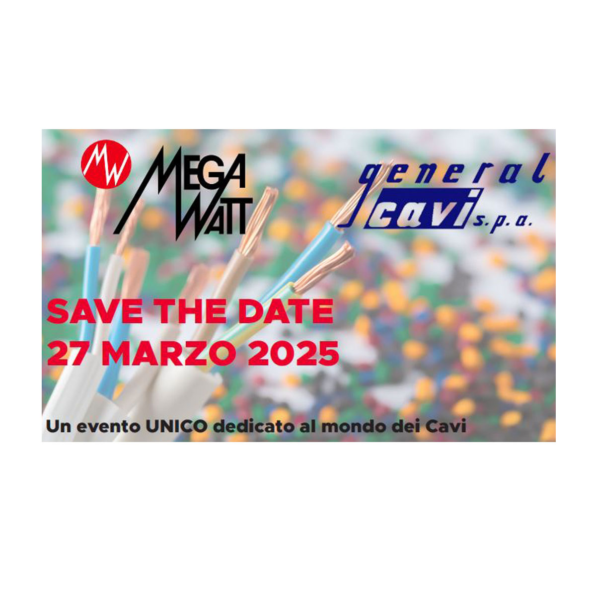 | General Cavi S.p.A.